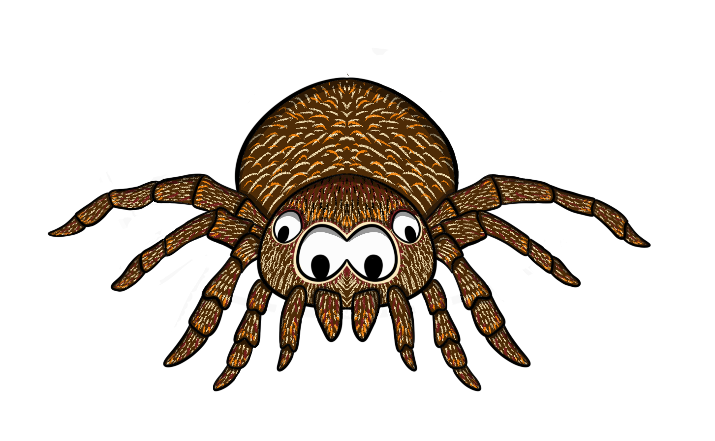 Asso des petites bêtes - Place Aux Minuscules